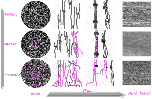 Role of Stably Entangled Chain Network Density in Shish-Kebab Formation ...
