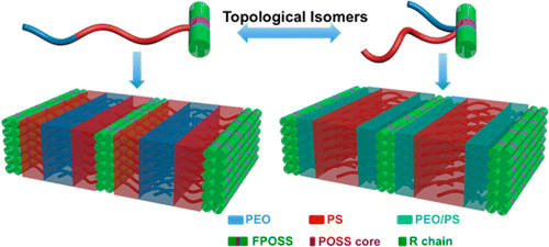 含氟多面体寡聚倍半硅氧烷（FPOSS）的巨型表面活性剂的链拥挤诱导相分离和分层结构形成。,Macromolecules - X-MOL