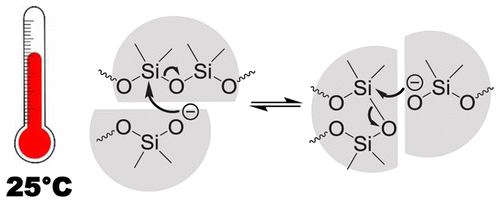 Dynamically Cross-Linked Polydimethylsiloxane Networks with Ambient ...