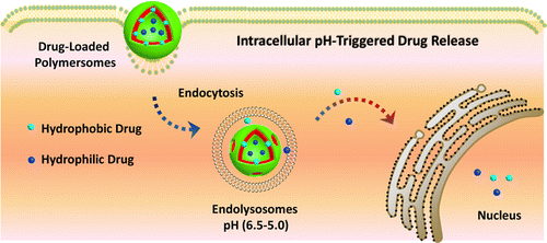 Acid-Disintegratable Polymersomes of pH-Responsive Amphiphilic Diblock ...