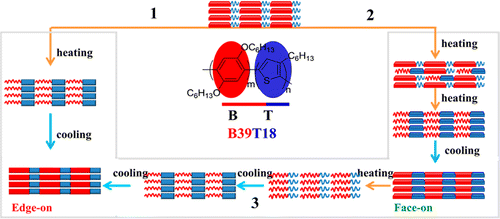 Face-On and Edge-On Orientation Transition and Self-Epitaxial ...