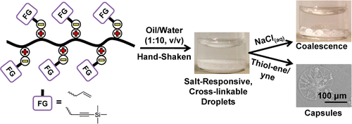 Functional Sulfobetaine Polymers: Synthesis and Salt-Responsive ...