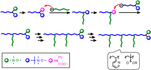 Precise Synthesis of New Exactly Defined Graft Copolymers Made up of ...