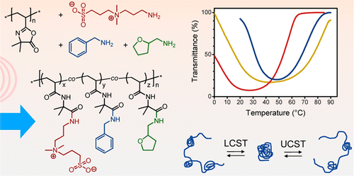 Design of Thermoresponsive Polymers with Aqueous LCST, UCST, or Both ...