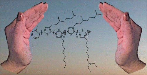 Expression of Chirality in a Conjugated Polymer without Any Excess of ...
