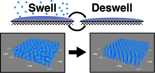 Cyclic Solvent Annealing Improves Feature Orientation in Block ...