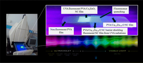 Highly Flexible and Visibly Transparent Poly(vinyl alcohol)/Calcium ...
