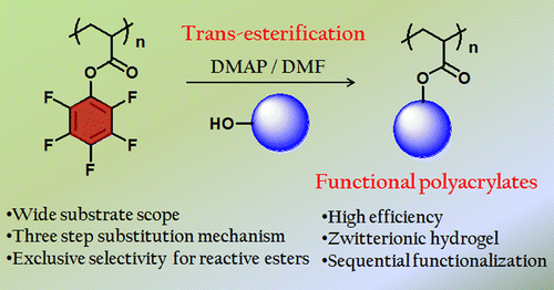 Multifaceted Synthetic Route to Functional Polyacrylates by ...