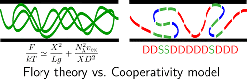 Backfolding of DNA Confined in Nanotubes: Flory Theory versus the Two ...