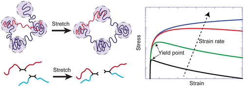 Stress Relaxation, Dynamics, and Plasticity of Transient Polymer ...