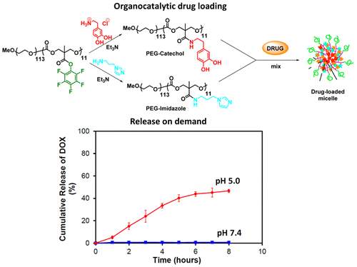 Organocatalytic Anticancer Drug Loading of Degradable Polymeric Mixed ...