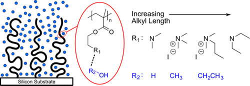 Swelling of Hydrophilic Polymer Brushes by Water and Alcohol Vapors ...
