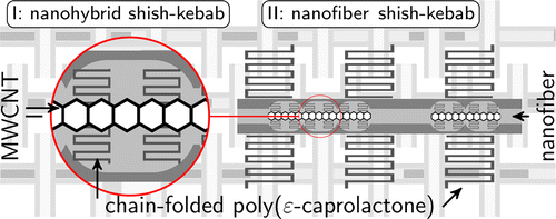 In Situ Formation of Nanohybrid Shish-Kebabs during Electrospinning for ...
