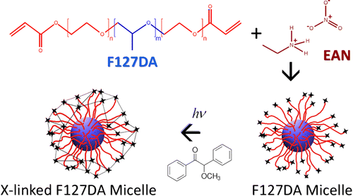 Pluronic F127二丙烯酸酯在硝酸乙酯中的自组装：光交联之前和之后的结构，流变学和离子电导率,Macromolecules - X-MOL