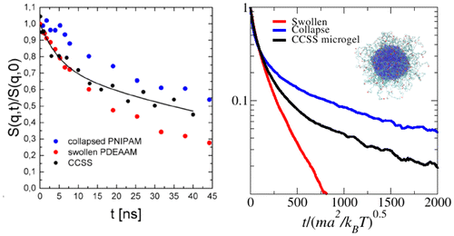 Dynamic Structure Factor of Core–Shell Microgels: A Neutron Scattering ...