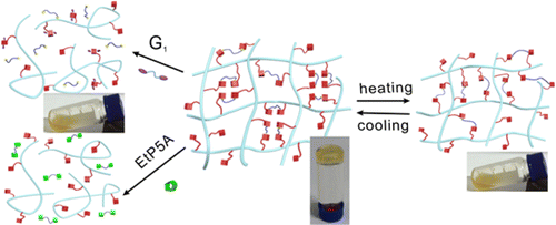 Multiresponsive Supramolecular Gel Based on Pillararene-Containing Polymers,Macromolecules - X-MOL