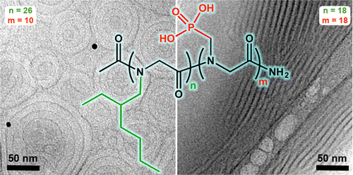Morphology and Proton Transport in Humidified Phosphonated Peptoid ...
