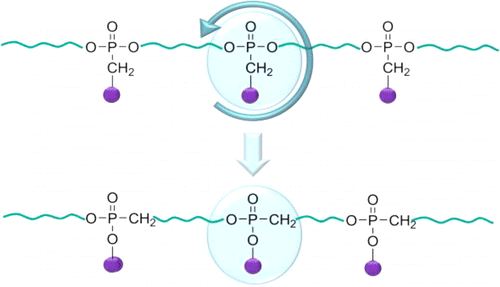 In-Chain Poly(phosphonate)s via Acyclic Diene Metathesis ...