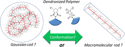 Structure and Dynamics of Dendronized Polymer Solutions: Gaussian Coil or Macromolecular Rod ...