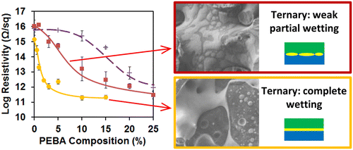 Assembling Conductive PEBA Copolymer at the Continuous Interface in ...