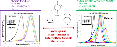 阐明 DBU 催化丙交酯开环聚合成聚乳酸的统一机理方案,Macromolecules - X-MOL