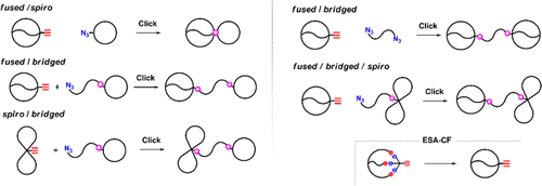 Construction of Hybrid-Multicyclic Polymer Topologies Composed of ...