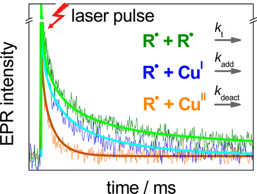 丙烯酸丁酯聚合反应中Cu II 介导的ATRP失活和Cu I 介导的有机金属反应的SP-PLP-EPR测量,Macromolecules ...