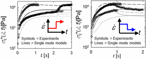 Extensional Step Strain Rate Experiments on an Entangled Polymer Solution
