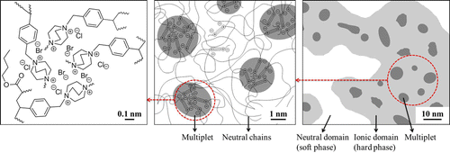 具有增强的微相分离的双电荷离聚物,Macromolecules - X-MOL