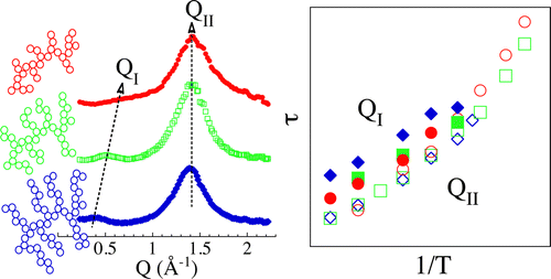 Role of Dynamic Asymmetry on the Collective Dynamics of Comblike ...