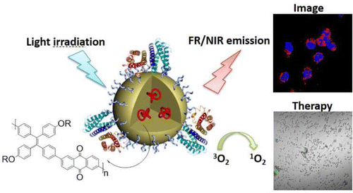 A Photostable Far-Red/Near-Infrared Conjugated Polymer Photosensitizer with Aggregation-Induced ...