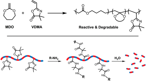 Synthesis and Characterization of Backbone Degradable Azlactone ...