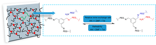 Dynamic Covalent Polymer Networks Based on Degenerative Imine Bond ...