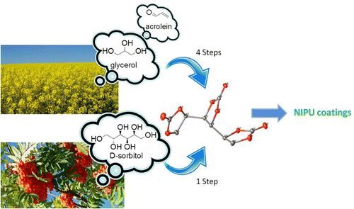 Isocyanate-Free Route to Poly(carbohydrate–urethane) Thermosets and 100 ...