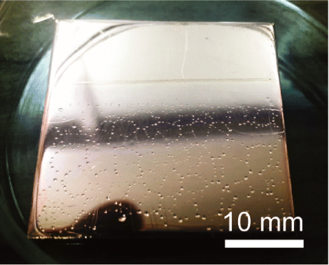 “The Good, the Bad, and the Slippery”: A Tale of Three Solvents in ...