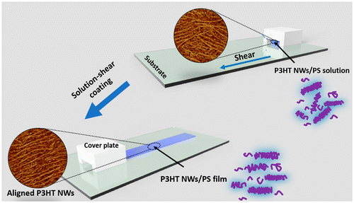 Alignment and Charge Transport of One-Dimensional Conjugated Polymer ...