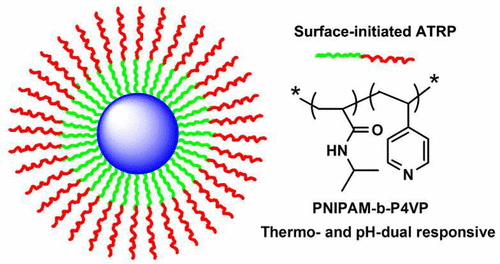 Synthesis of Hybrid Silica Nanoparticles Densely Grafted with Thermo ...