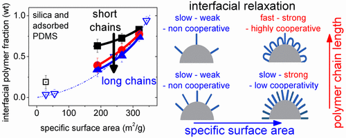 Effects of Molecular Weight below the Entanglement Threshold on ...