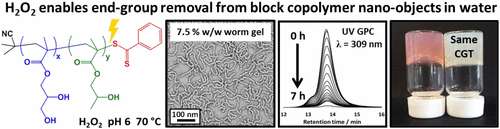 H2O2 Enables Convenient Removal of RAFT End-Groups from Block Copolymer ...