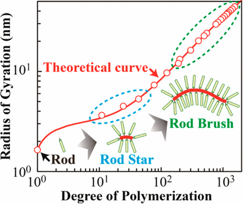 Dimensional Characterizations from Rod Stars to Brushes of Polymers ...