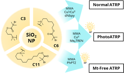 可连接引发剂中的间隔基对表面引发的原子转移自由基聚合（SI-ATRP）的影响,Macromolecules - X-MOL