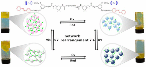 An End-Bifunctionalized Hydrophobically Modified Ethoxylated Urethane ...