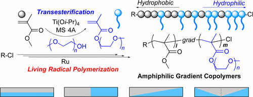 Amphiphilic PEG-Functionalized Gradient Copolymers via Tandem Catalysis ...