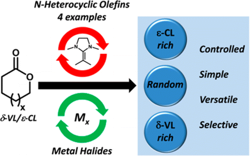 Dual Catalysis Based on N-Heterocyclic Olefins for the Copolymerization ...