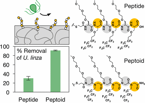 Role of Backbone Chemistry and Monomer Sequence in Amphiphilic ...