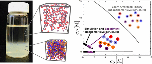 分子连接性和相关性对聚合物凝聚的影响,Macromolecules - X-MOL