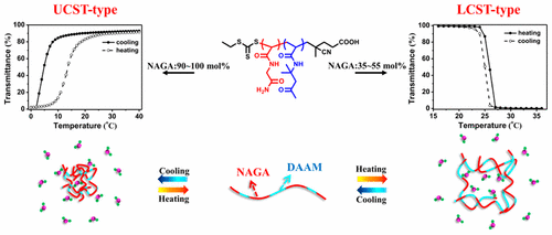 UCST or LCST? Composition-Dependent Thermoresponsive Behavior of Poly(N ...
