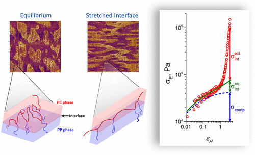 Strain Hardening of Polyethylene/Polypropylene Blends via Interfacial ...