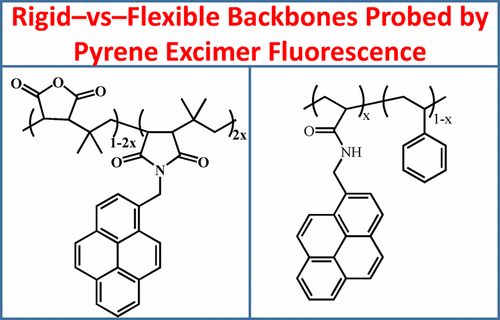 Long-Range, Polymer Chain Dynamics of a “Stiff” Polymer. Fluorescence ...