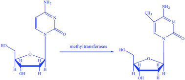 Identifying RNA 5-methylcytosine sites via pseudo nucleotide ...